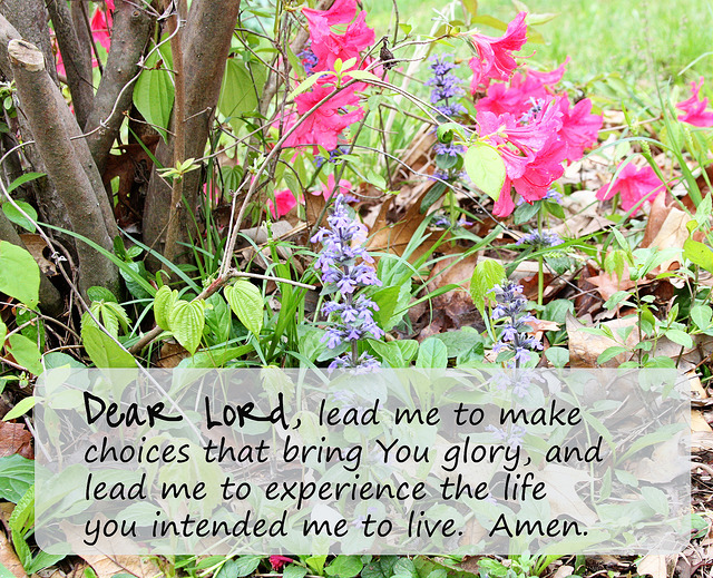 Dear Lord, Lead Me