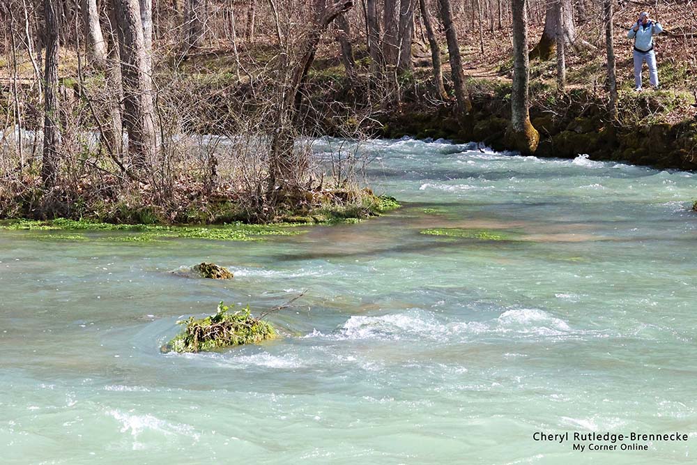 Alley Spring & Mill National Park 2018 & 2021