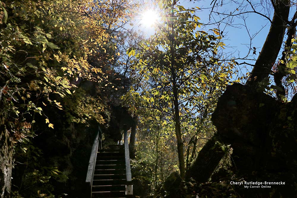 Alley Spring & Mill National Park 2018 & 2021