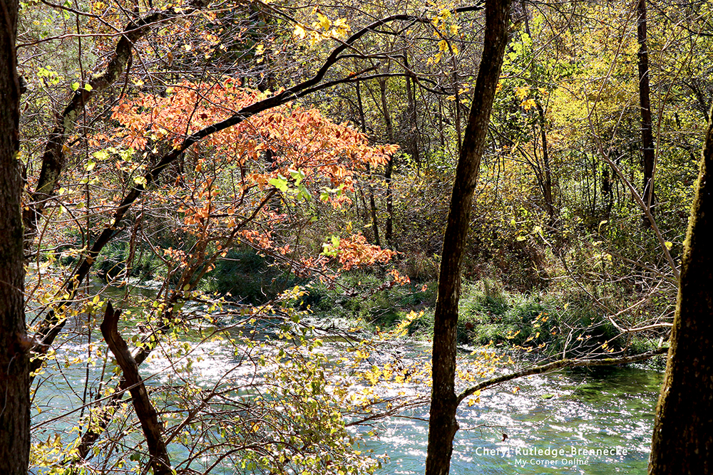 Alley Spring & Mill National Park 2018 & 2021