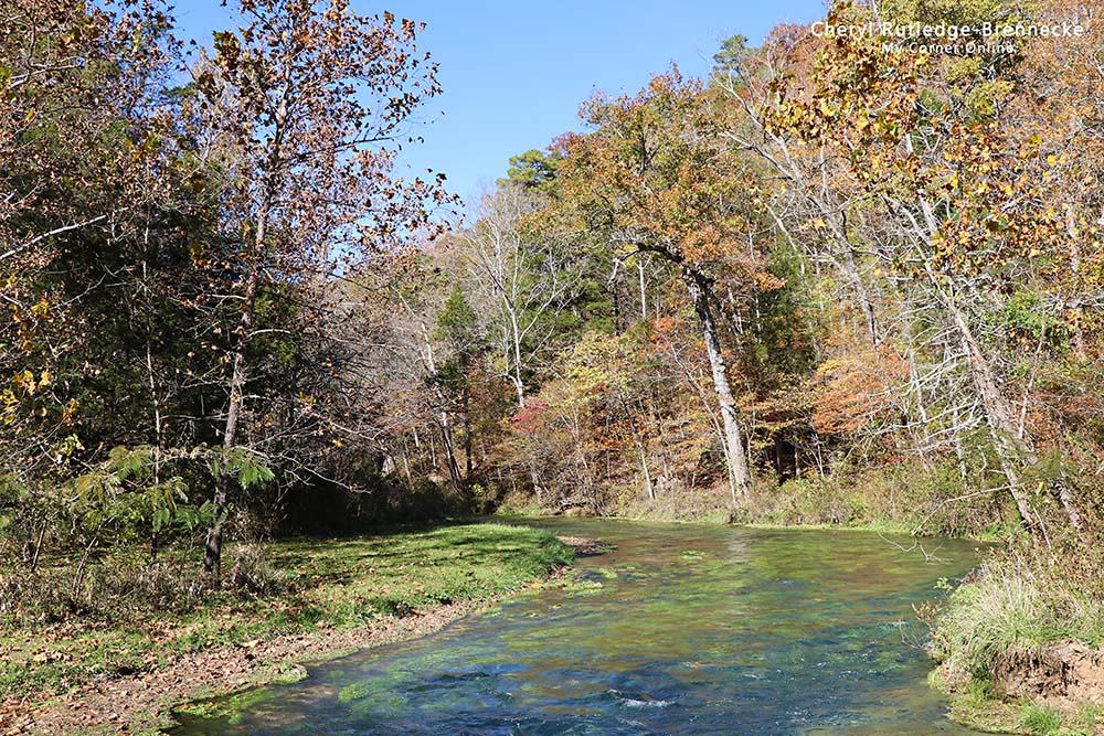 Alley Spring & Mill National Park 2018 & 2021