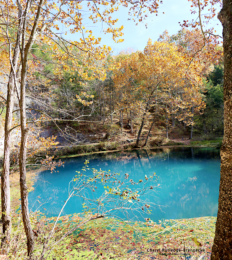 Alley Spring & Mill National Park 2018 & 2021