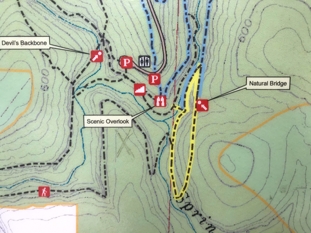 Bell Smith Springs Recreation Area | Natural Bridge trail