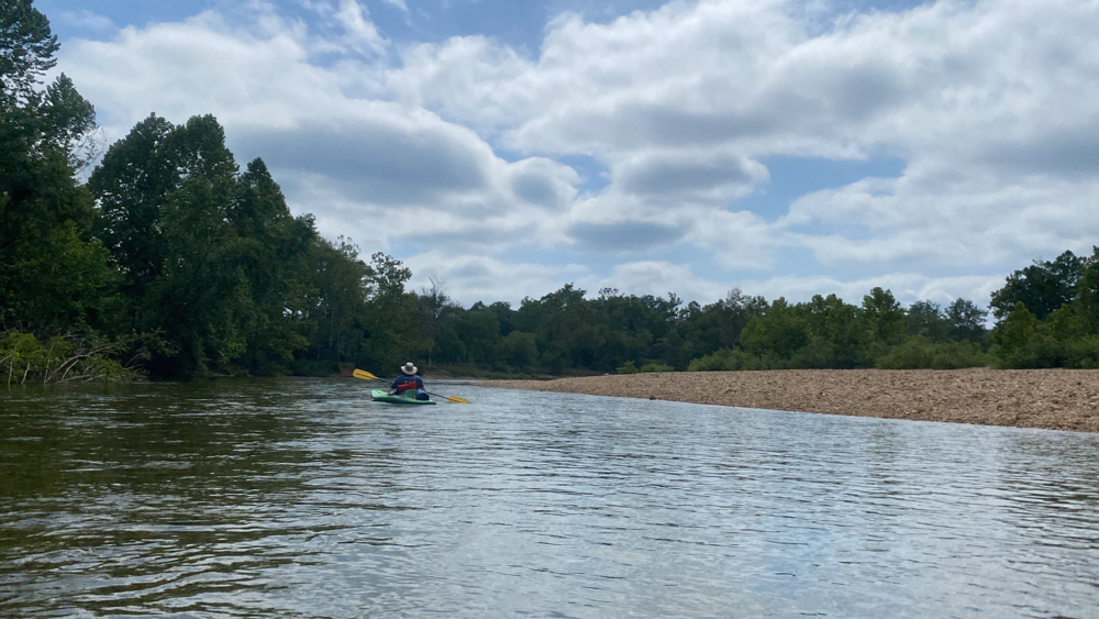 Black River, Lesterville (Parks Bluff Campground)