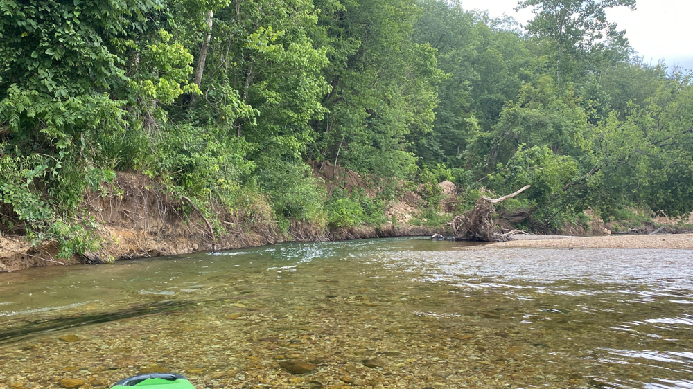 Black River, Lesterville (Parks Bluff Campground)