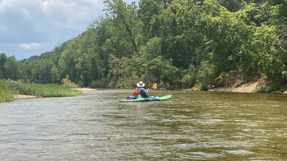 Black River, Lesterville (Parks Bluff Campground)
