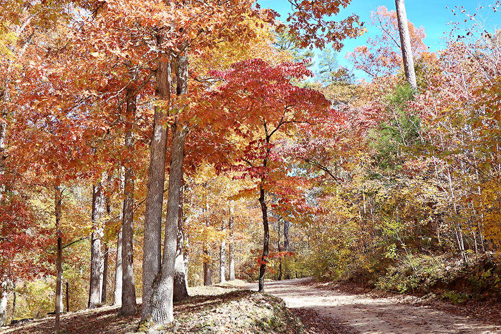 Blue Springs, Jacks Fork River