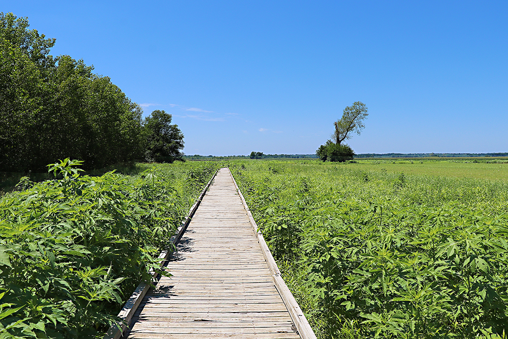 Columbia Bottom Conservation Area