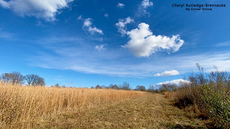 Crowley's Ridge Conservation Area