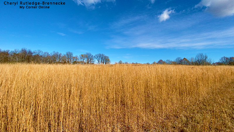 Crowley's Ridge Conservation Area