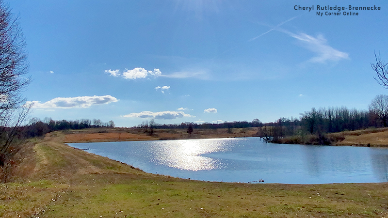 Crowley's Ridge Conservation Area