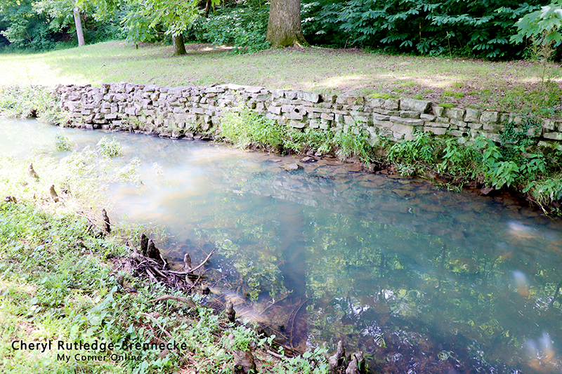 Dixon Springs State Park