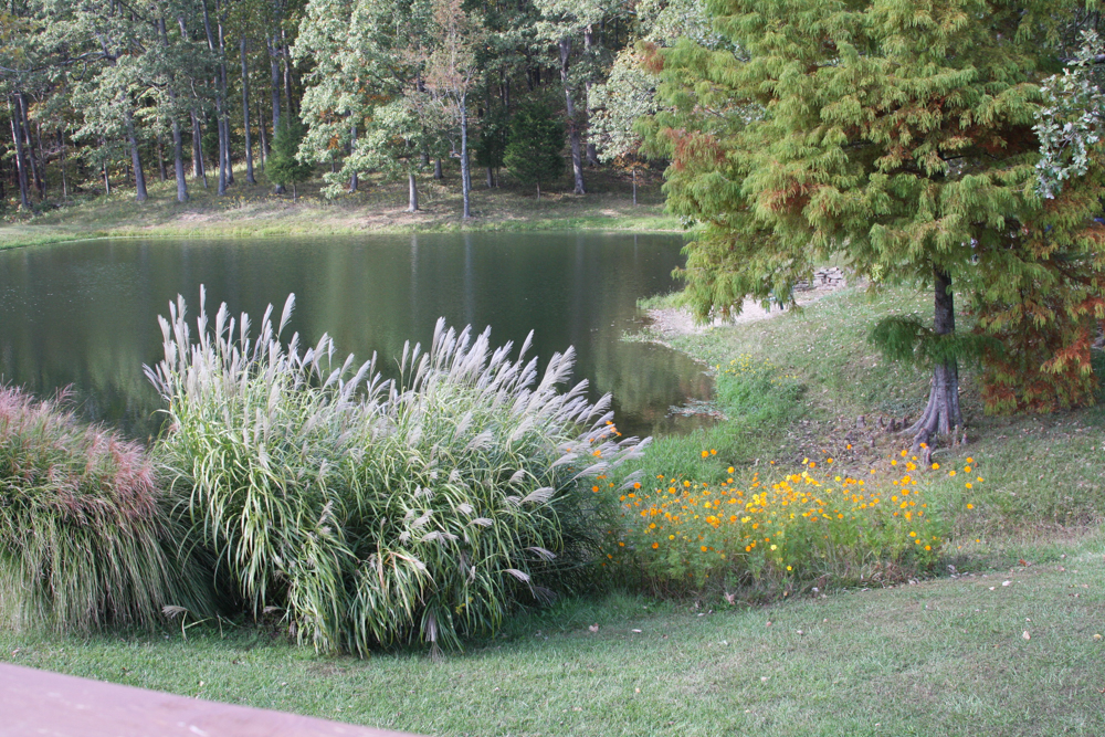 Feather Hills Vineyard (formerly Orlandini Vineyar