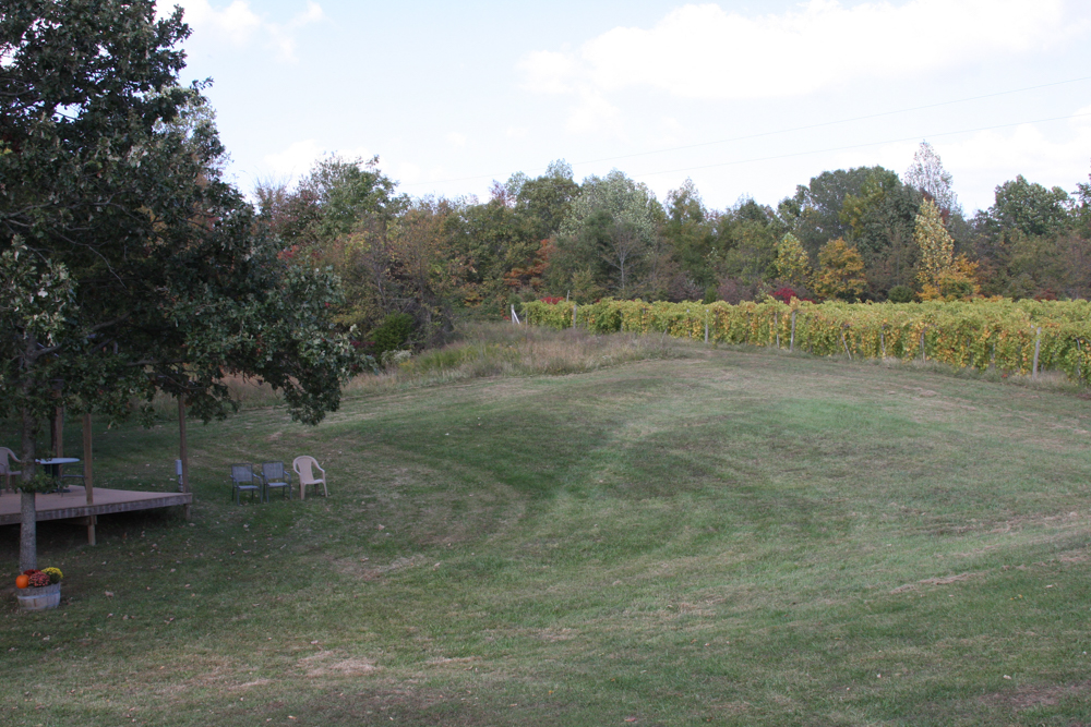 Feather Hills Vineyard (formerly Orlandini Vineyar