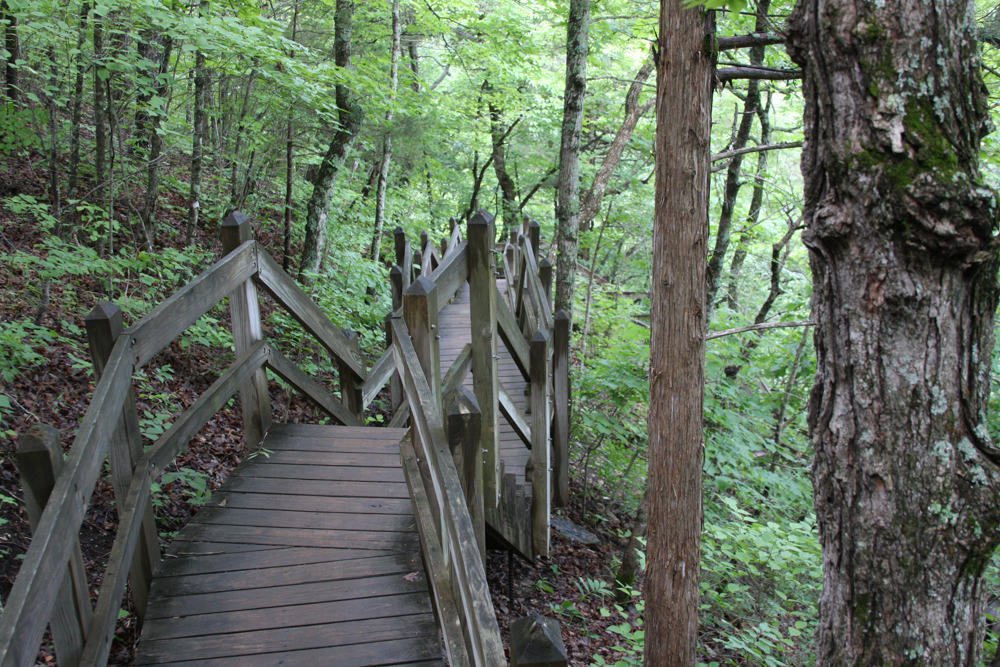 Ha Ha Tonka State Park