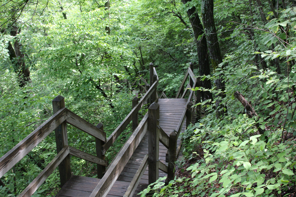 Ha Ha Tonka State Park