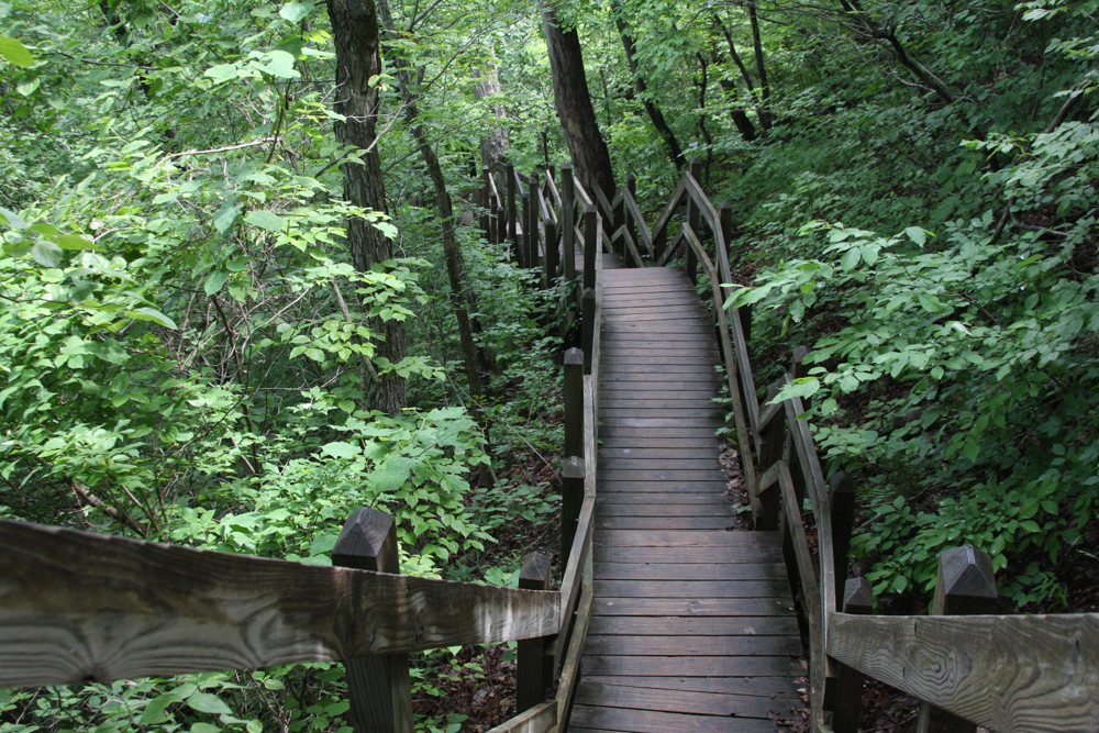 Ha Ha Tonka State Park