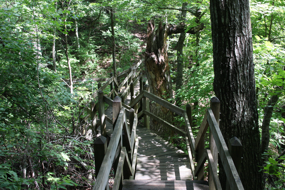Ha Ha Tonka State Park