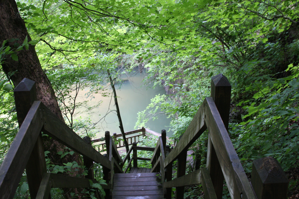 Ha Ha Tonka State Park
