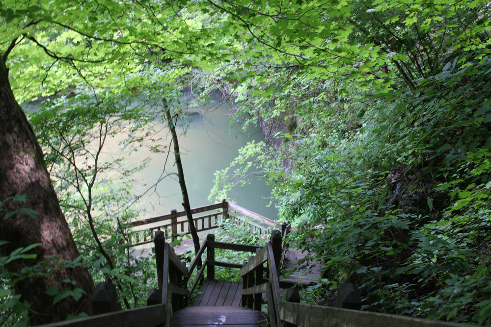 Ha Ha Tonka State Park