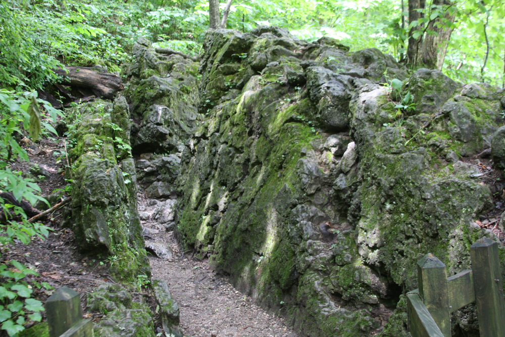 Ha Ha Tonka State Park