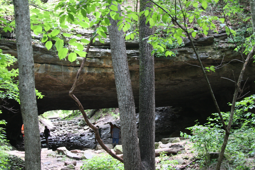 Ha Ha Tonka State Park