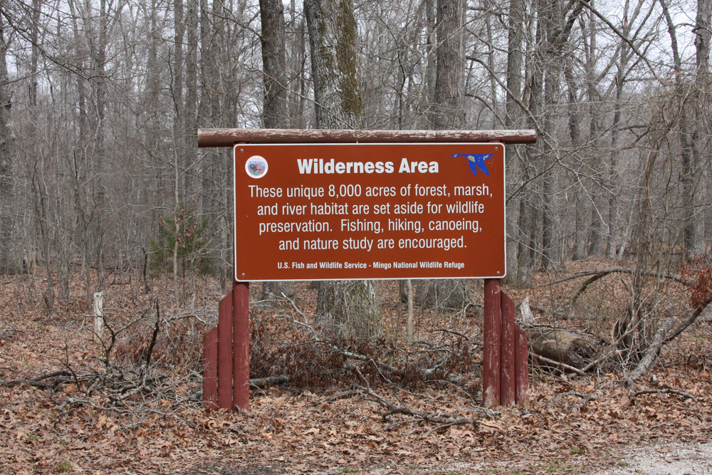 Are Dogs Allowed At Mingo Wildlife Refuge