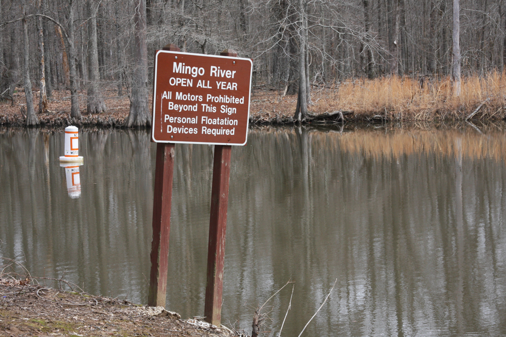 Are Dogs Allowed At Mingo Wildlife Refuge