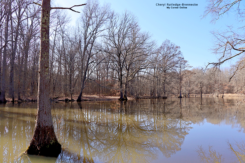 Mingo National Wildlife Refuge