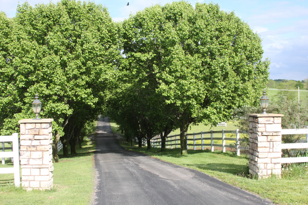 Steele Crest Winery and Brewery