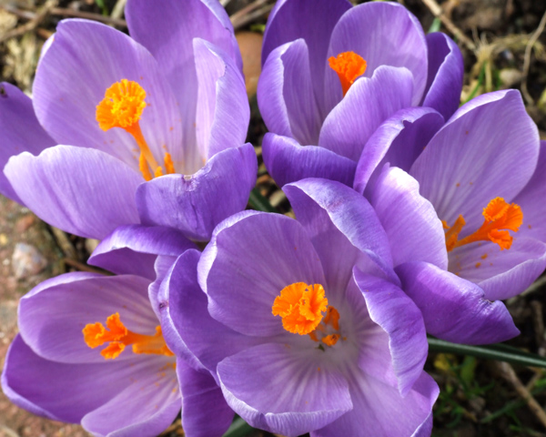 Blending Modes Tutorial - Color Dodge