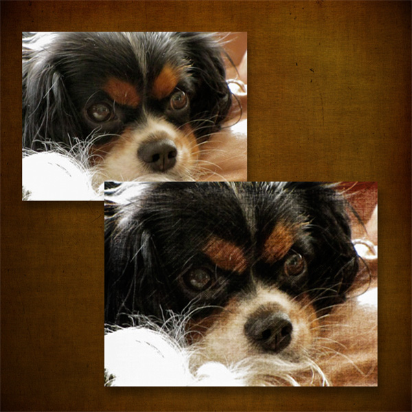 Filter Tutorial - Colored Pencil