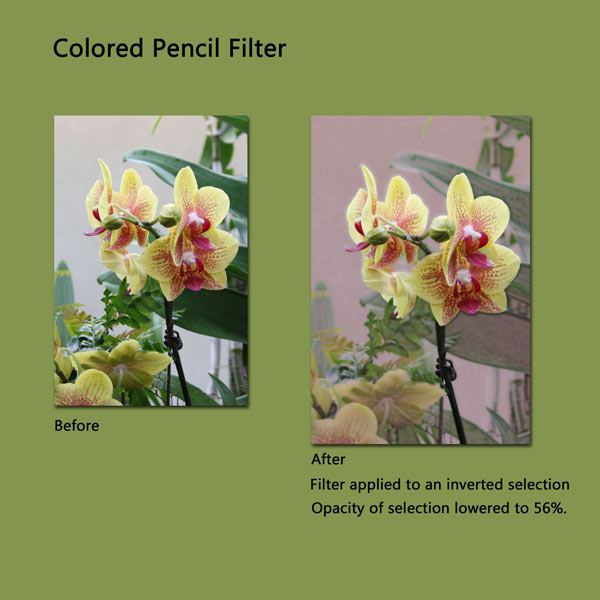 Filter Tutorial - Colored Pencil